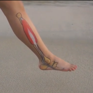 ¡Lesiones en los tendones peroneos! - Biomecánica Martínez